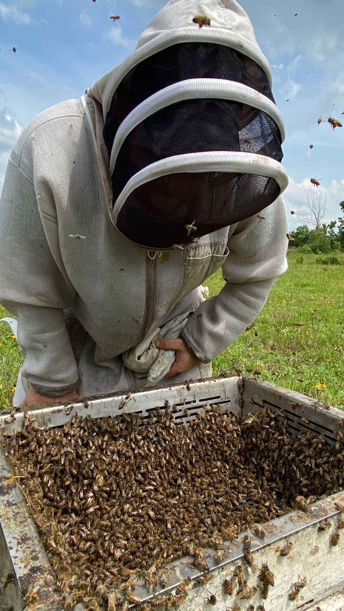 New Braunfels beekeeper stars in reality TV show