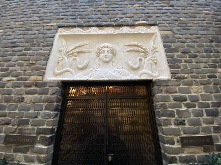 The abundant secrets of San Francisco's oldest alley