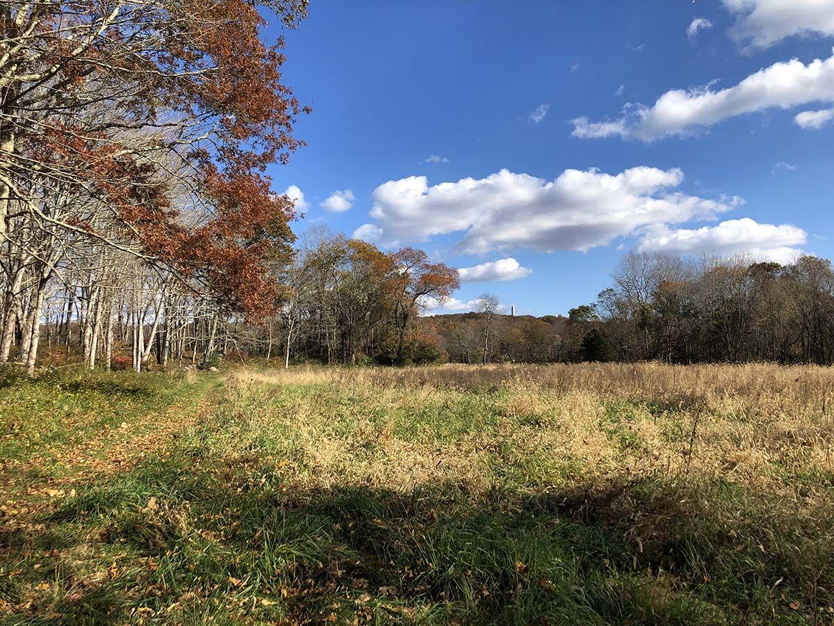 Column: Step back in time with a hike at Hewitt Farm in North Stonington