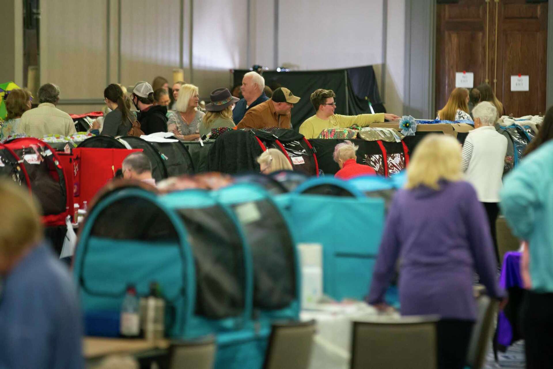225 felines square off at hair-raising Houston Cat Club fundraiser