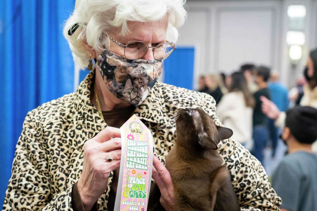 225 felines square off at hair-raising Houston Cat Club fundraiser