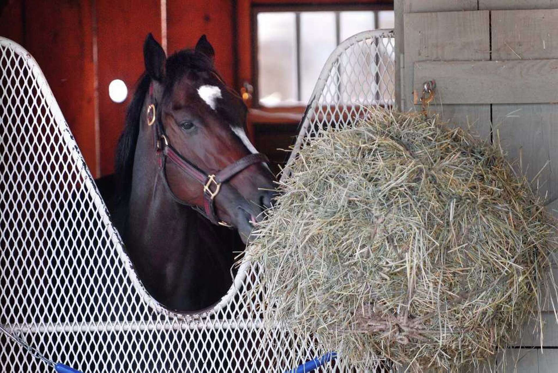 Rachel Alexandra is serious after surgery