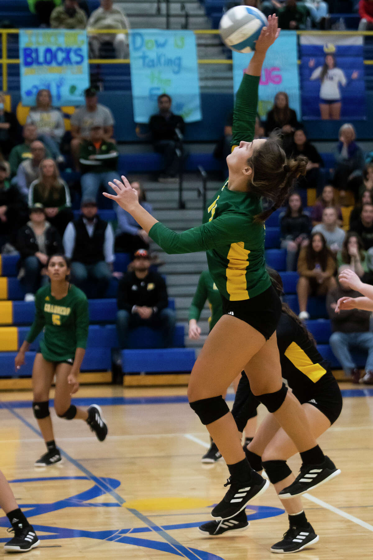 Prep Profile: Dow High's Abby Rey