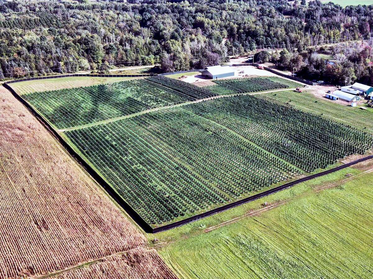 This Manistee County marijuana facility makes products for 40 others in ...