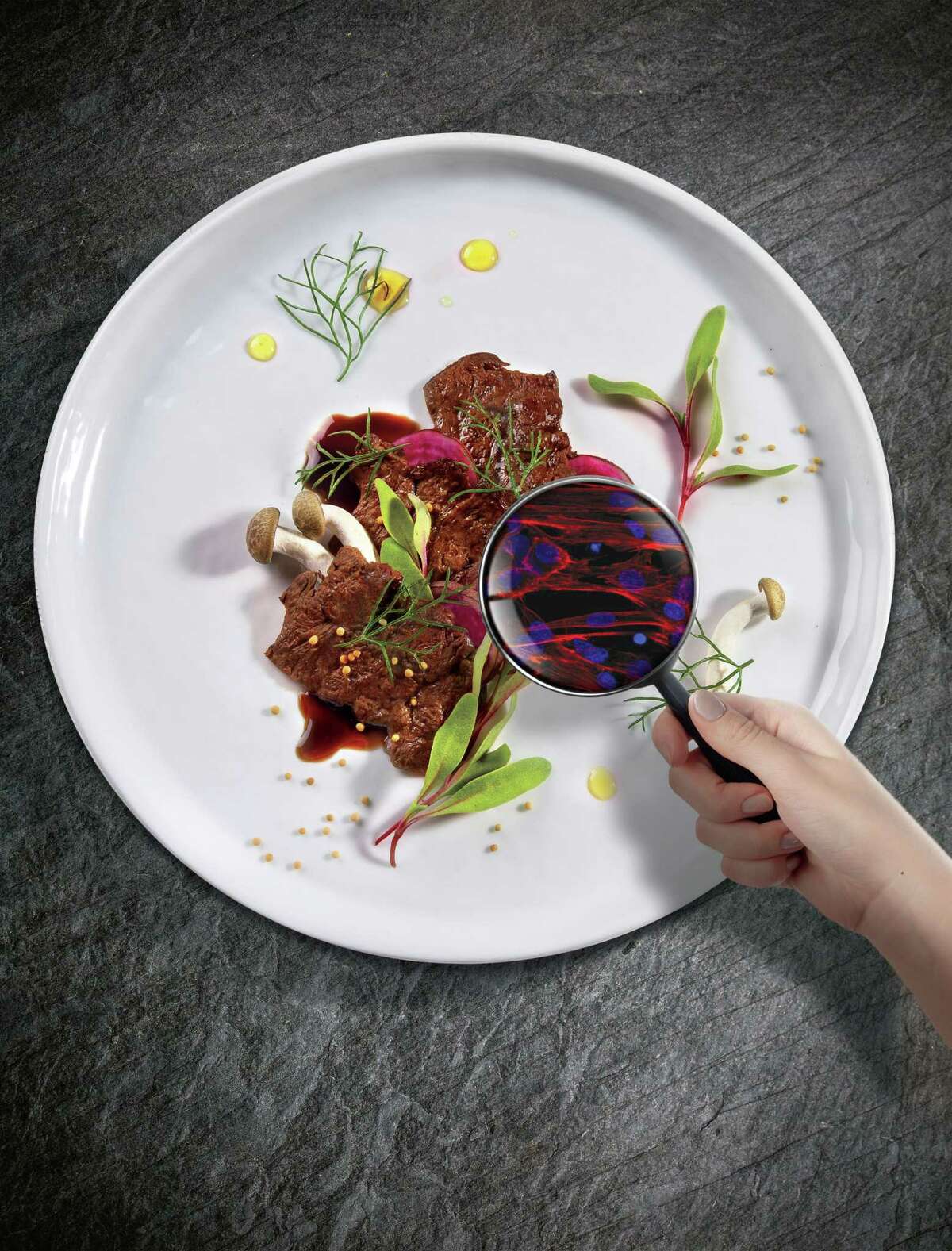 Rare or well done? Private astronaut to grow steaks from cow cells ...