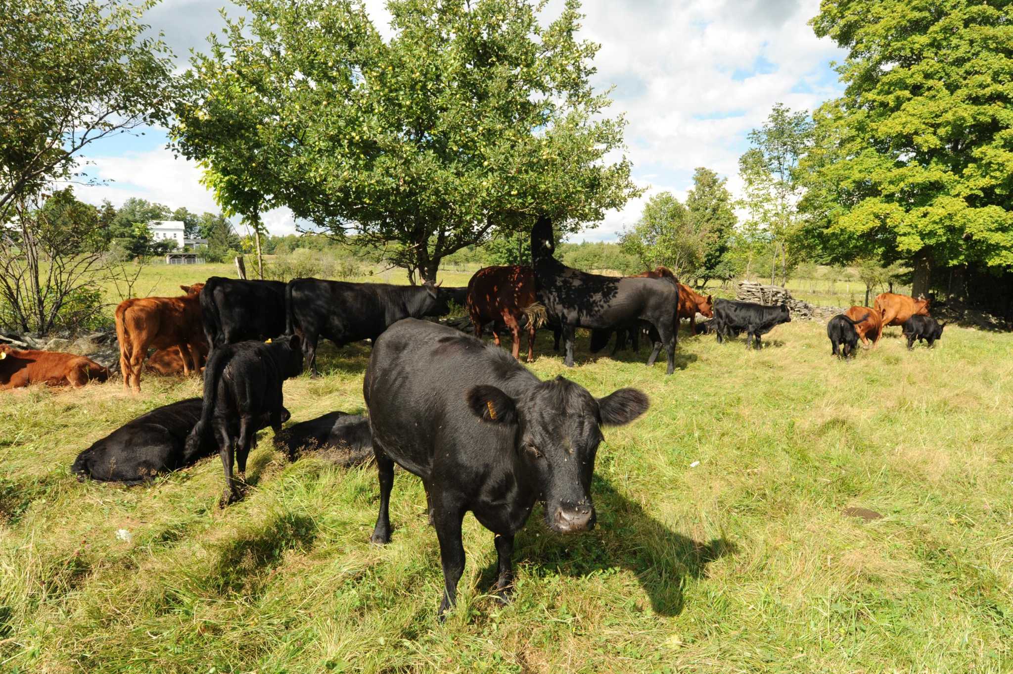 Editorial: A 40-hour farm week