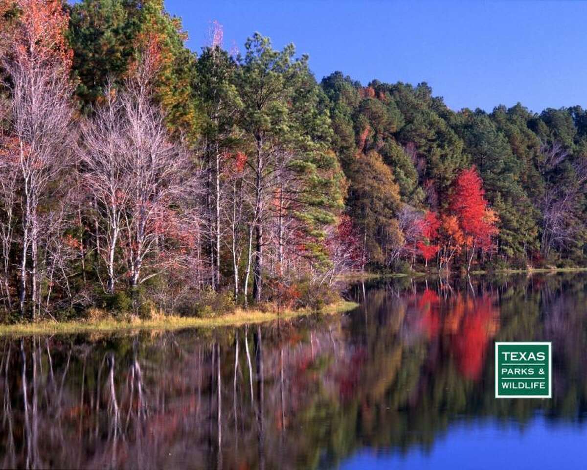 Texas Zoom backgrounds: Canyons, mountains, rivers and more