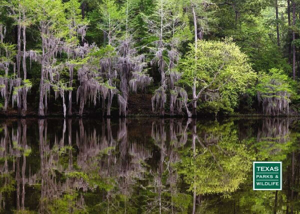 Texas Zoom backgrounds: Canyons, mountains, rivers and more