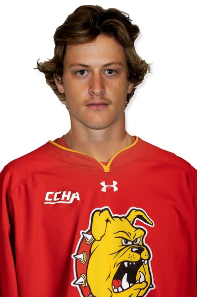 Ferris hockey stuns Bemidji for series road sweep