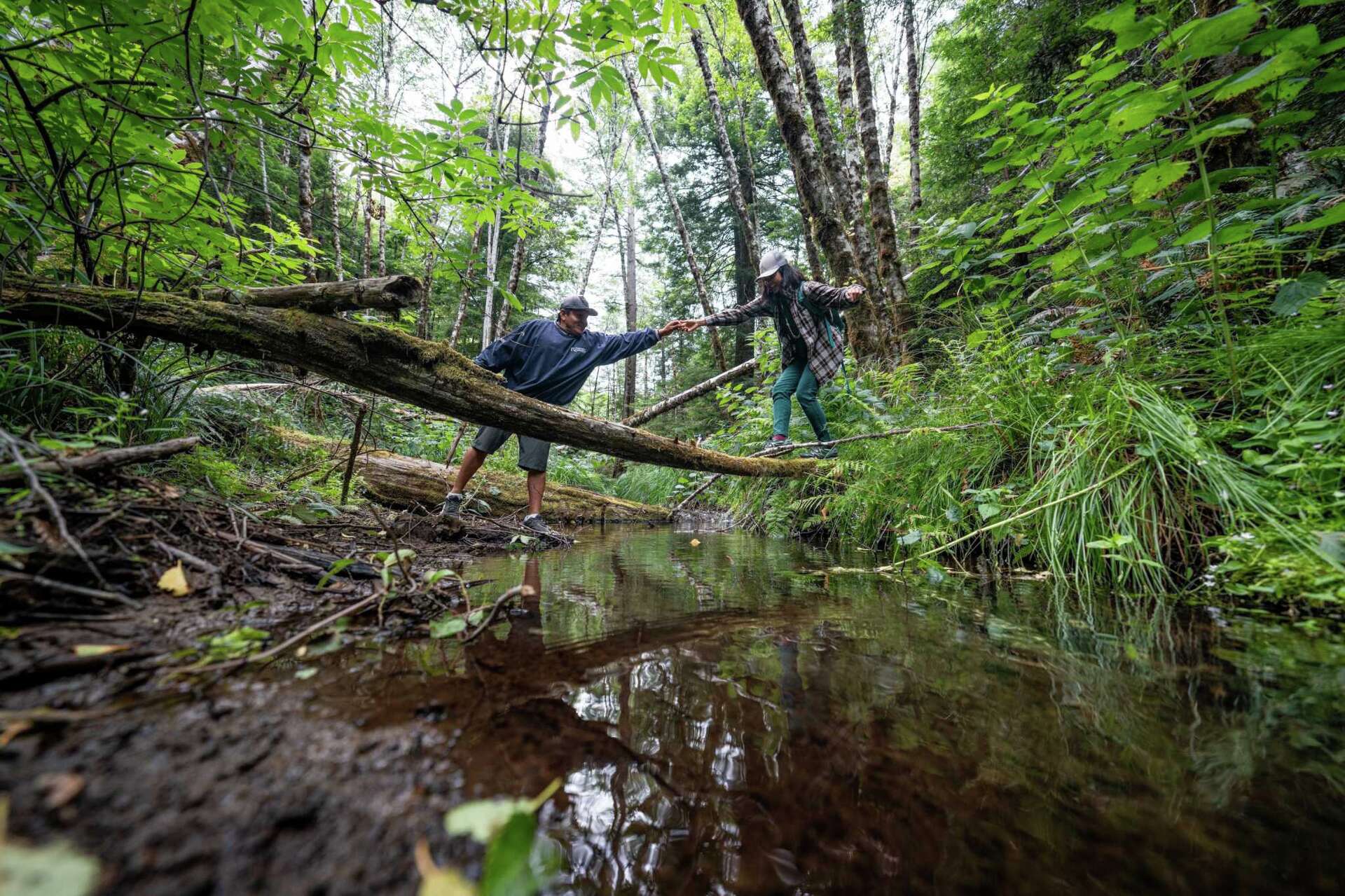‘An important victory’: Native American tribes reclaim a redwood forest ...