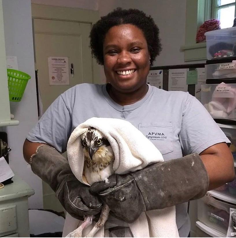 Sharon Audubon Center maintains 60-year tradition of helping birds ...