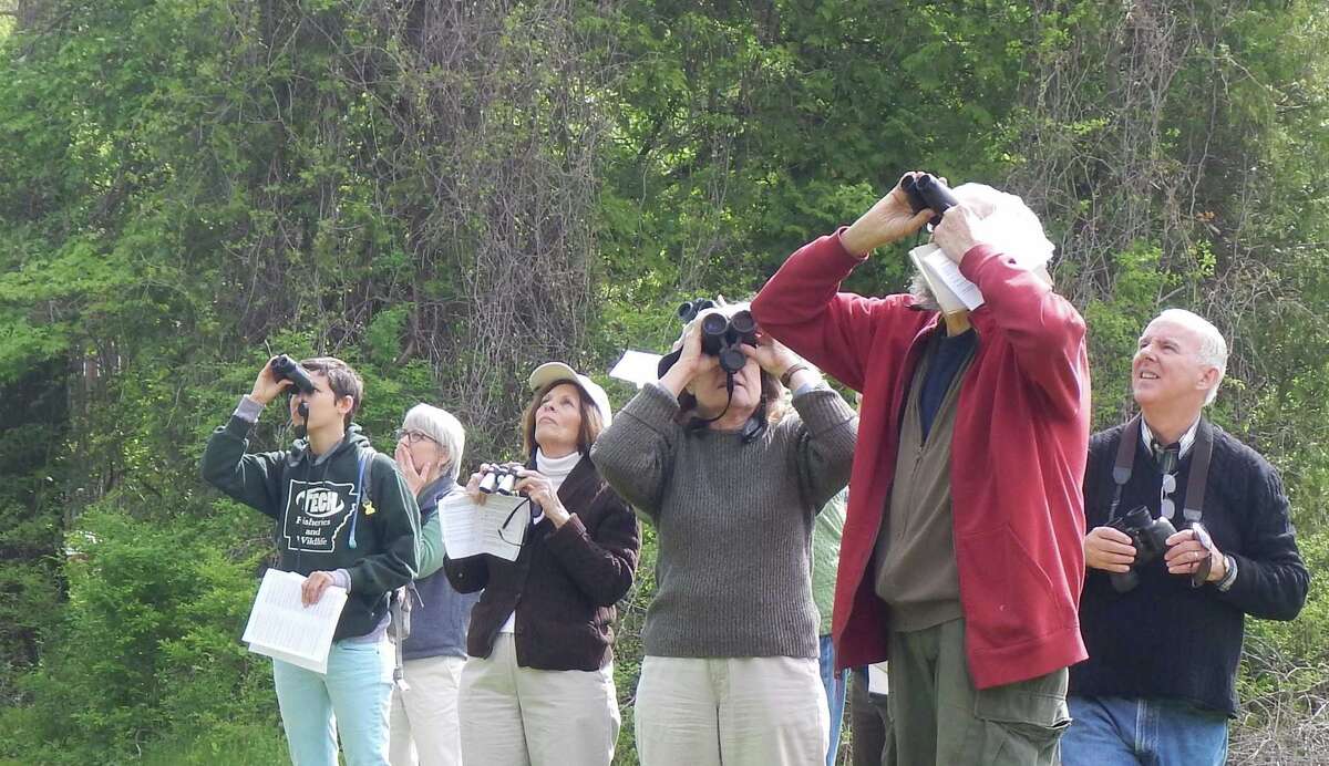 Sharon Audubon Center maintains 60-year tradition of helping birds ...