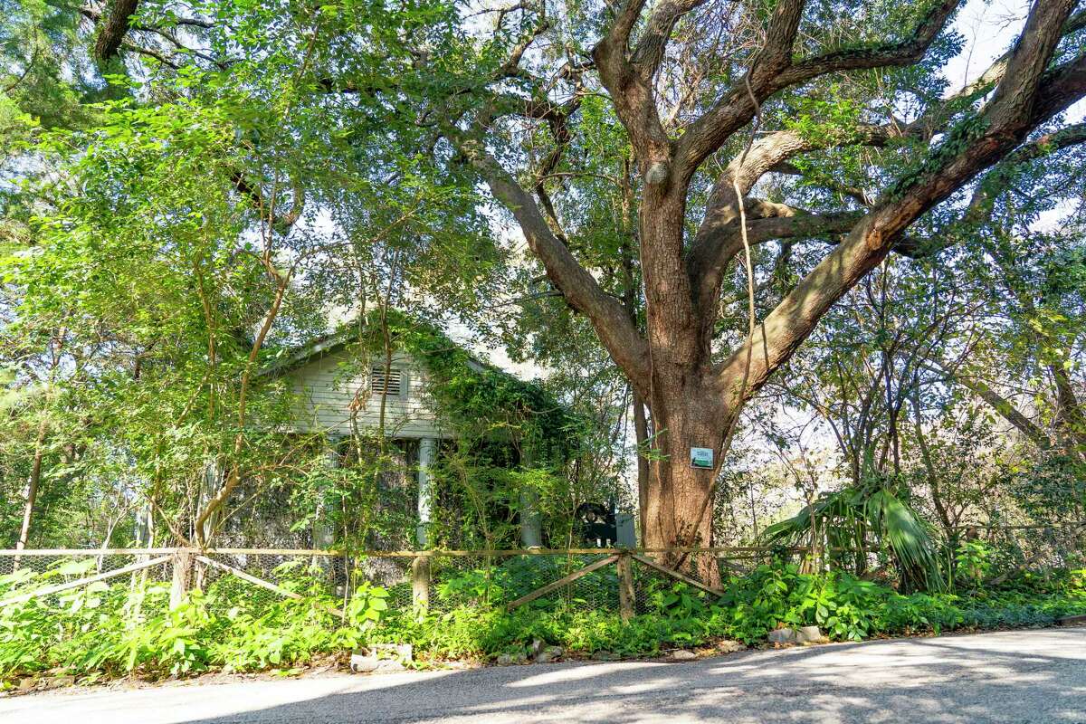 New Houston district aims to preserve ‘last remnant’ of history near ...