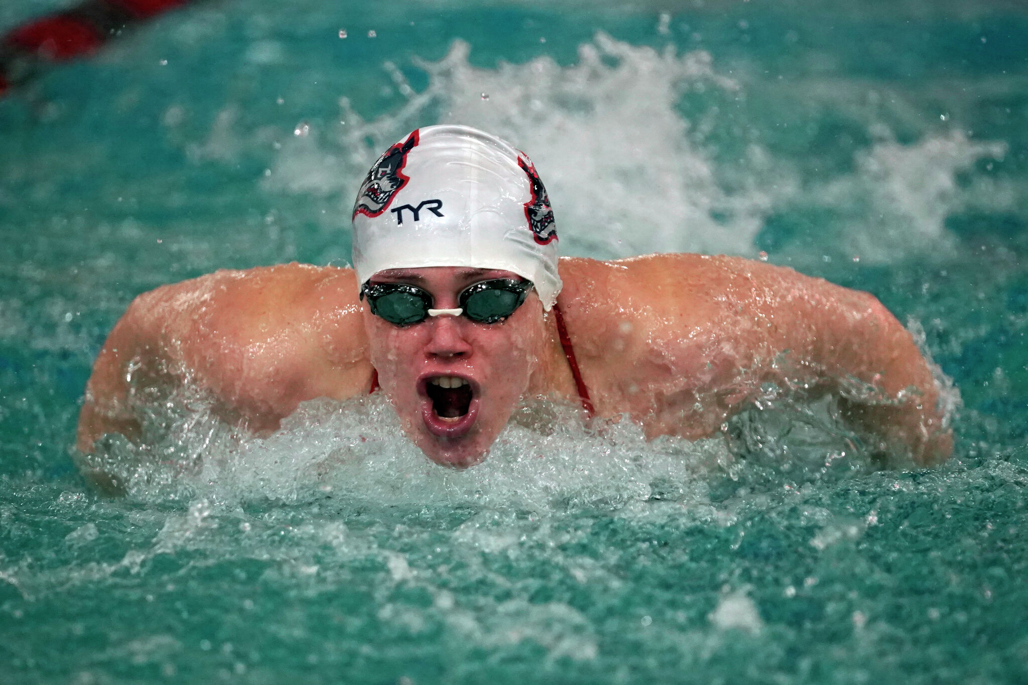 Area swimmers fuel Stony Brook's success