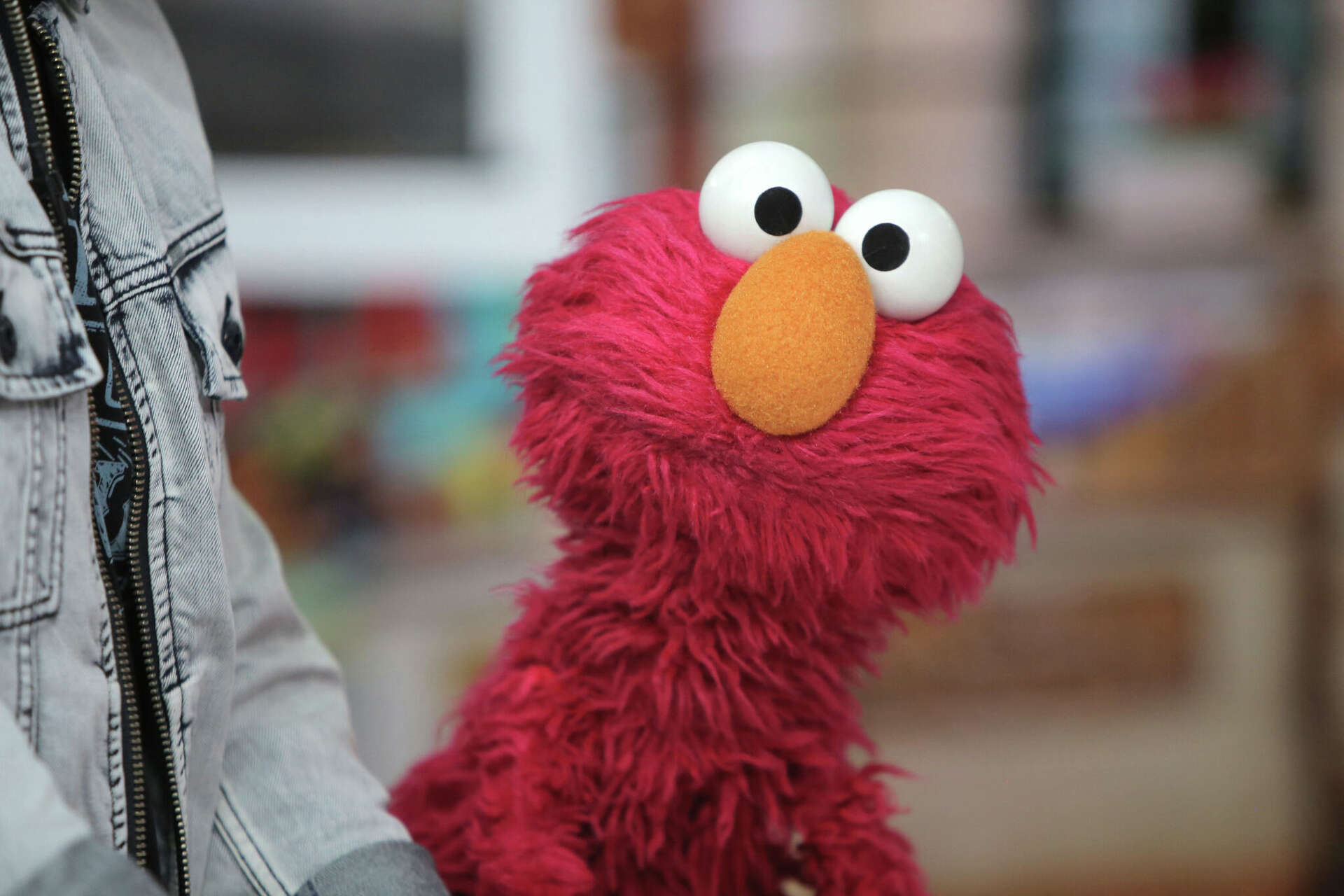San Antonio Zoo gets in on Elmo vs. Rocco war