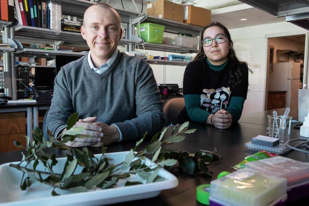 Rice grad student discovered a new Houston insect and named it after ...