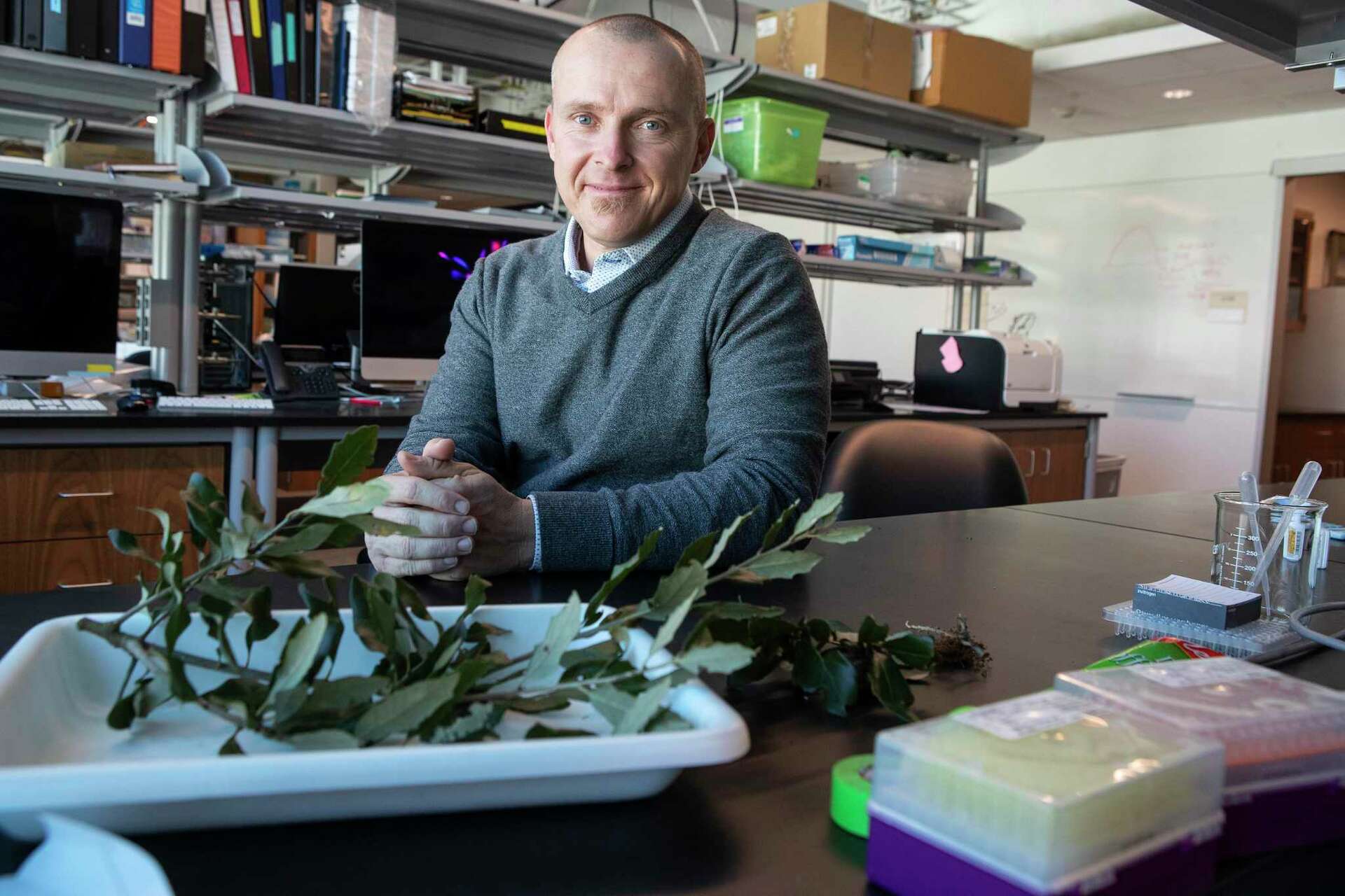 Rice grad student discovered a new Houston insect and named it after ...