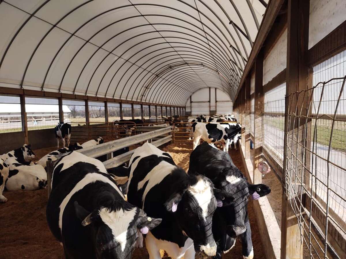 This Remus family farm specializes in meats all winter