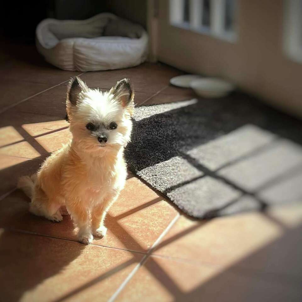 KENS 5 evening anchor Sharon Ko announces engagement