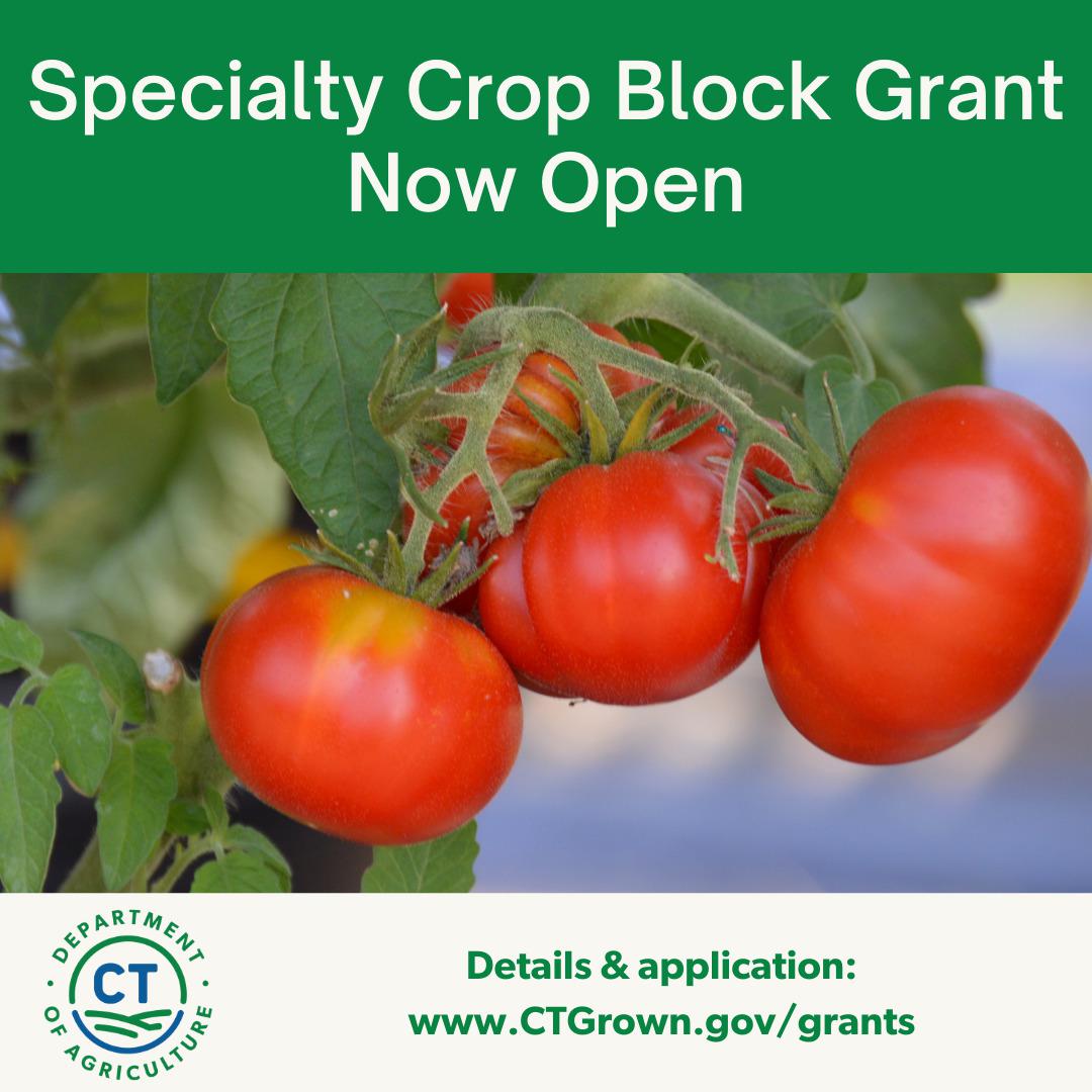 Specialty crop block grant program invites applicants