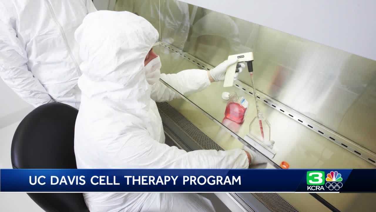 First patients treated with new cancer-fighting cell therapy lab