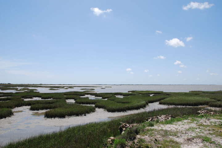 Texas state parks: Six are on the way, with two in Houston