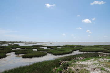 Texas state parks: Six are on the way, with two in Houston