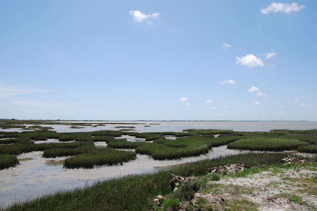 Texas state parks: Six are on the way, with two in Houston