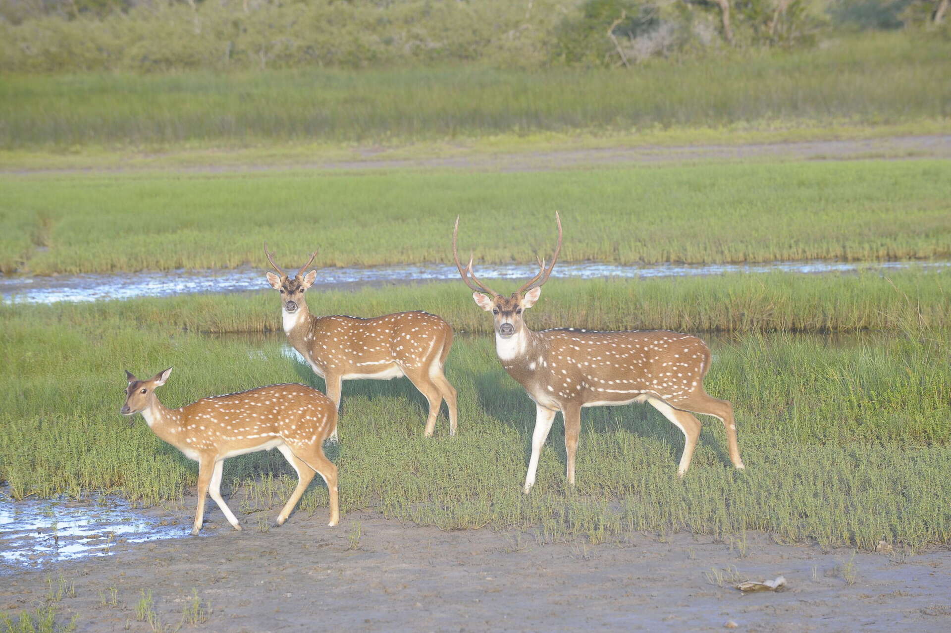 Powderhorn Ranch will soon be home to a massive $50M Texas state park ...