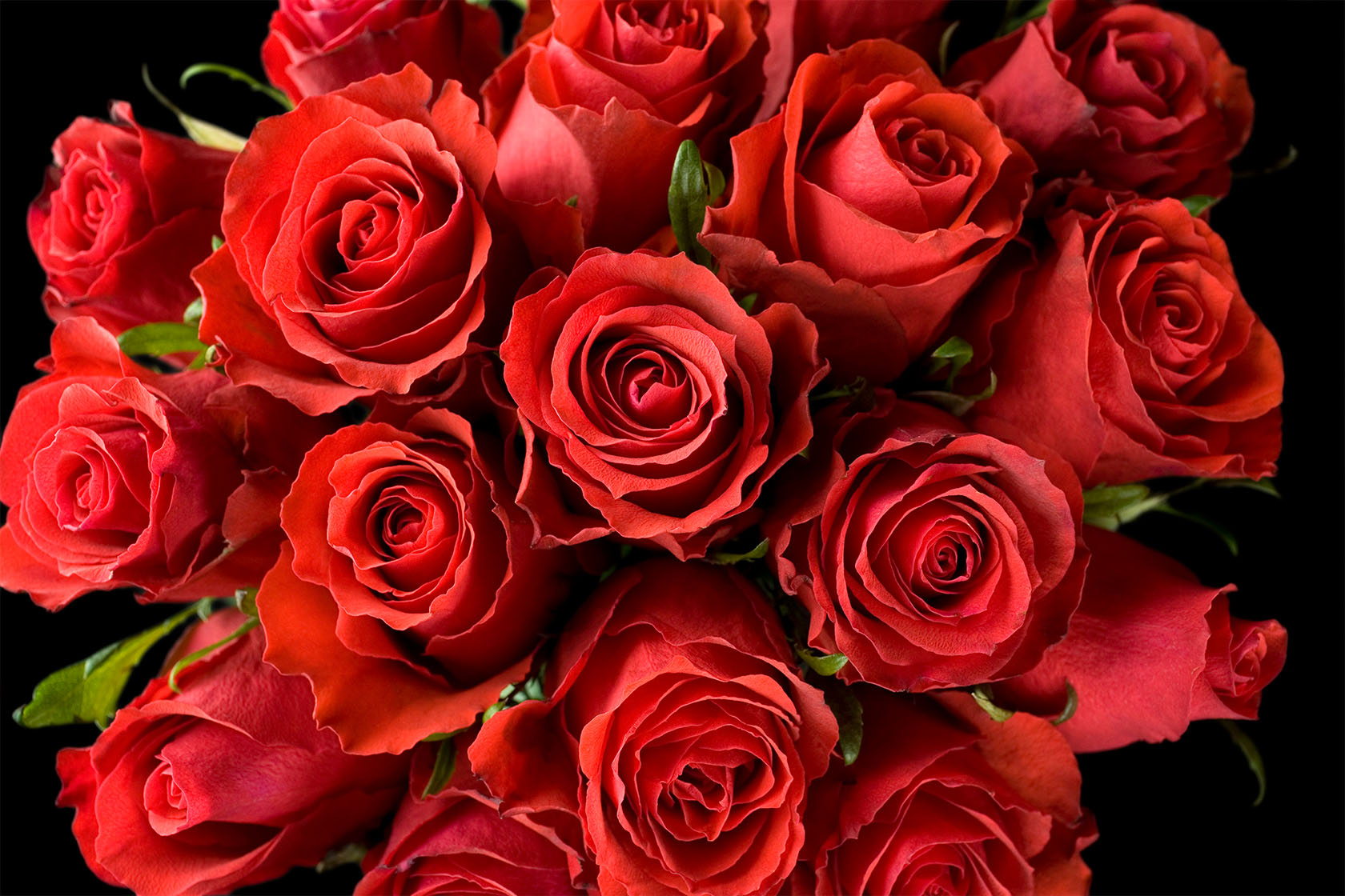 Prime members can get two dozen roses from Whole Foods for $19.99