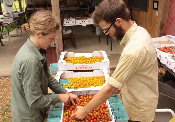Art Down on a Kent Farm