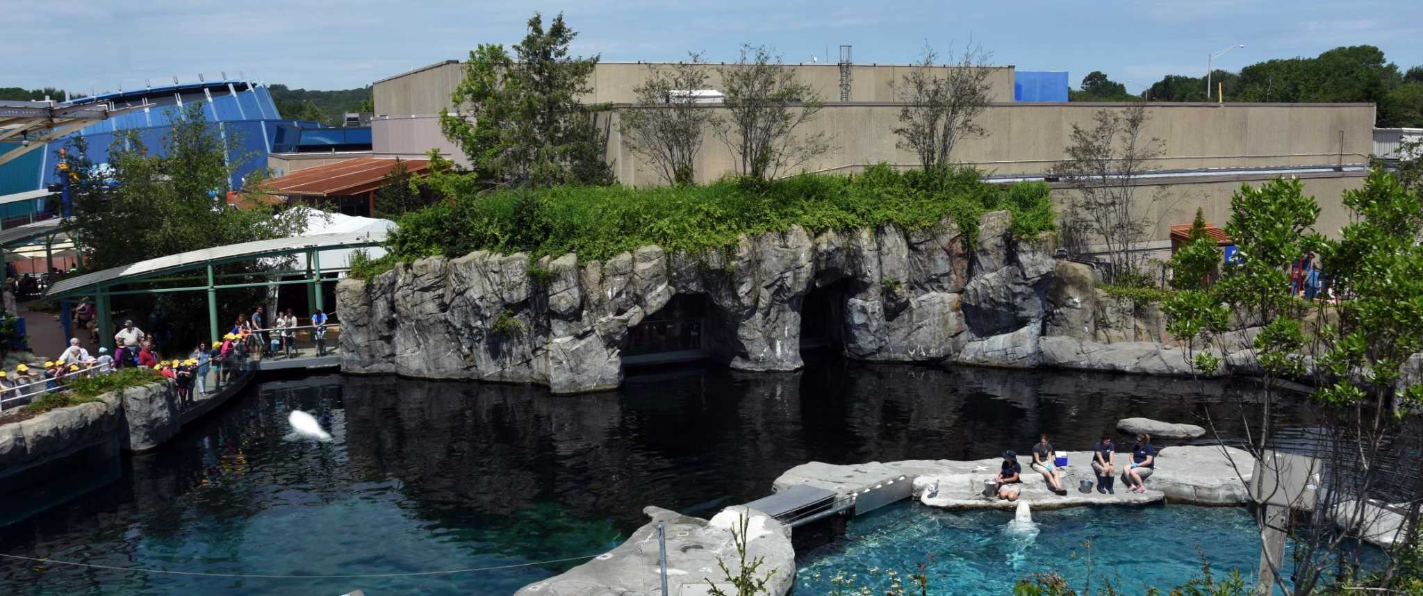 You can still ‘visit’ Maritime Aquarium at Norwalk, Mystic Aquarium