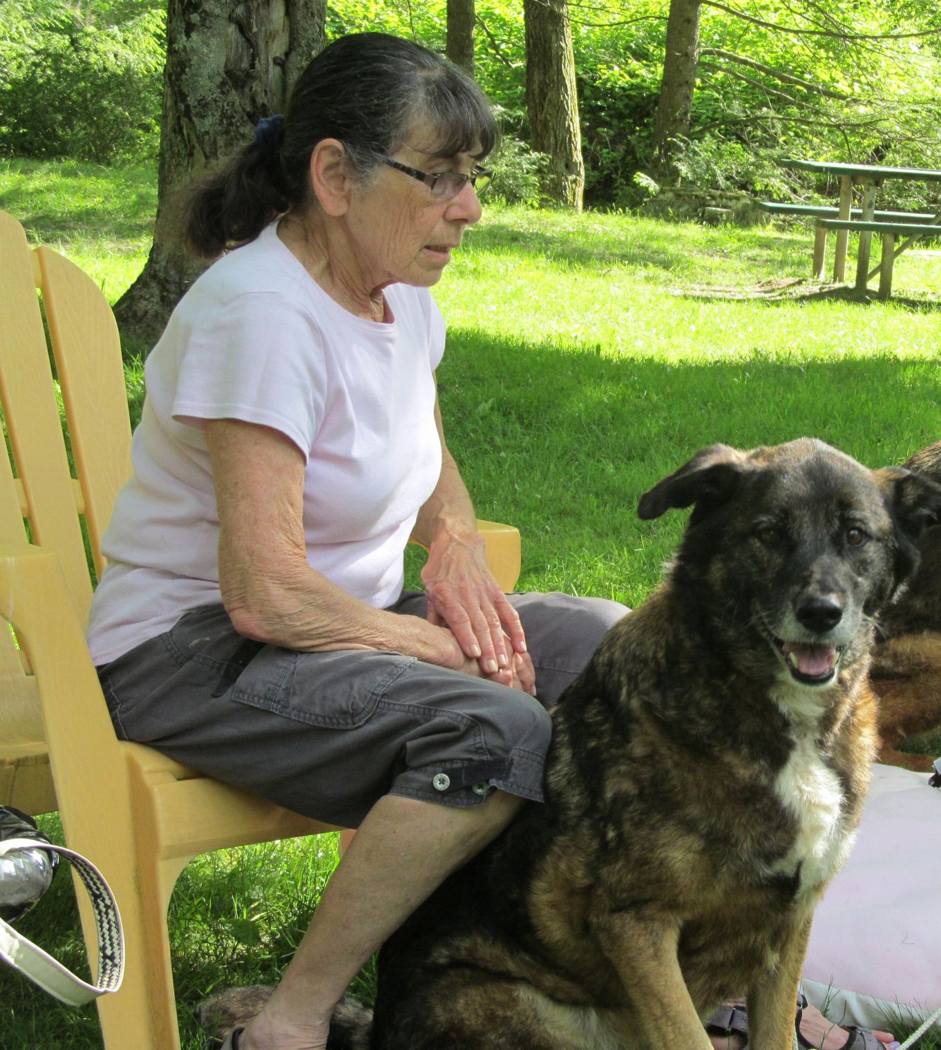 Lexi Lu Is One Lucky Dog