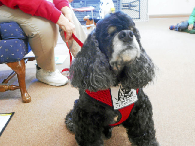 Dogs help kids with reading at new Harwinton Library program