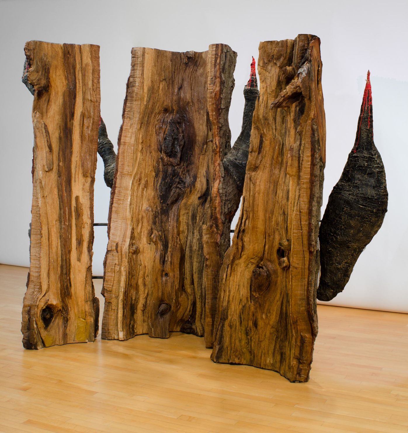 Five Points Gallery in Torrington opens two concurrent shows