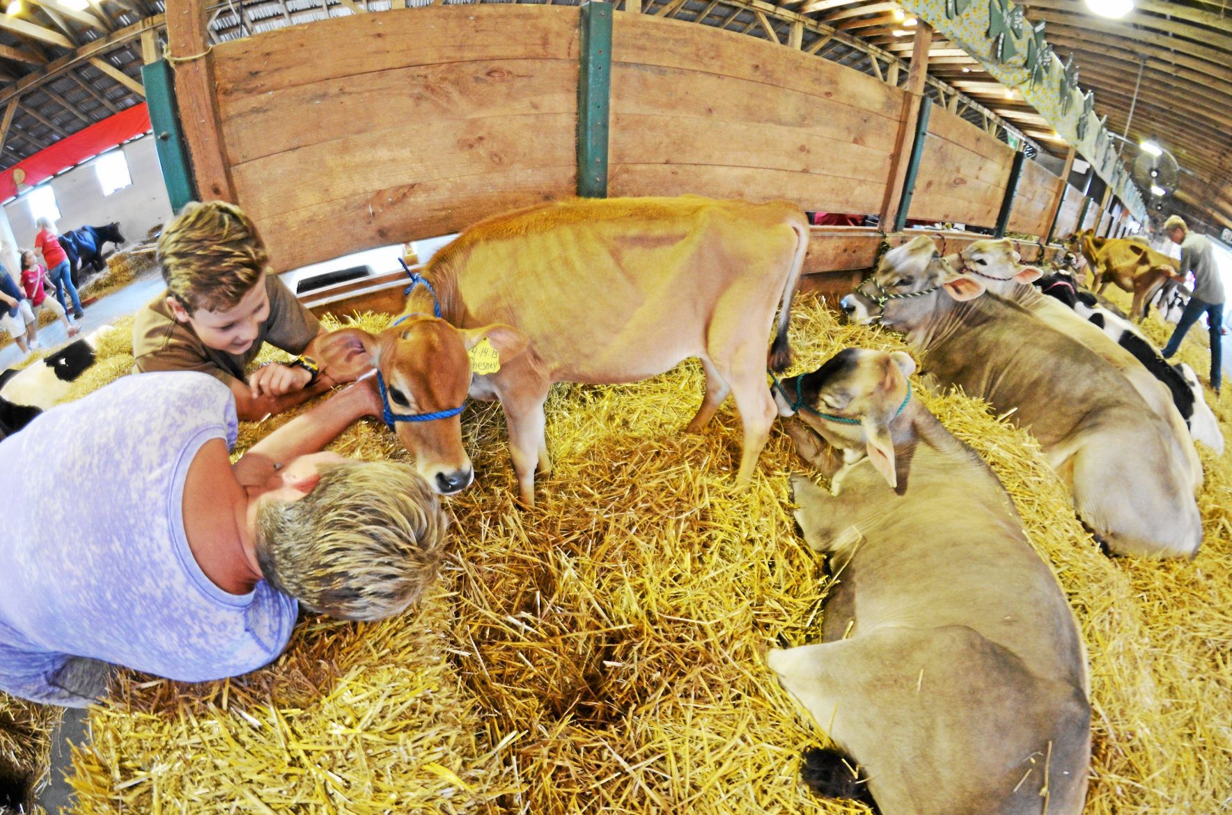 Goshen Fairgrounds hosts Litchfield County 4-H Fair Aug. 4-5