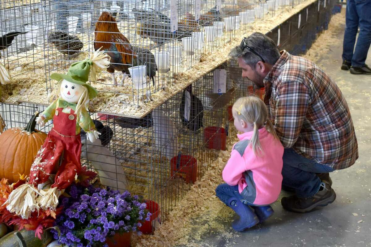 Photos: Another year of Harwinton Fair fun