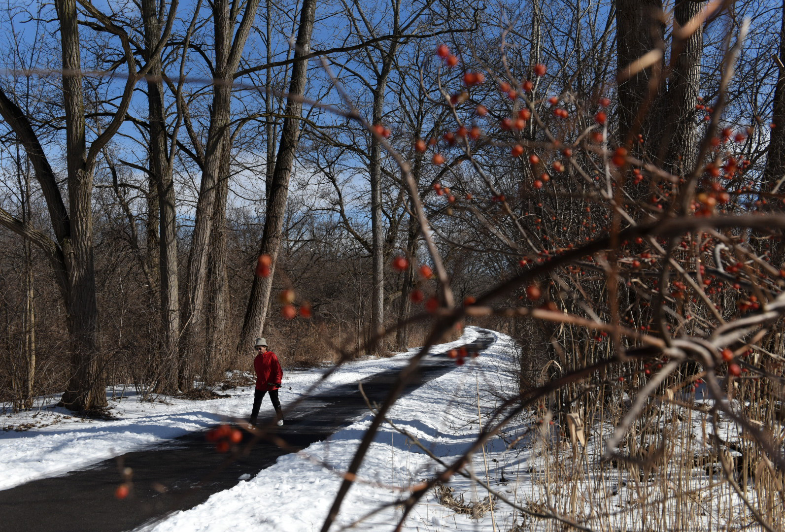 Colonie residents ask for bike path connector off Troy-Schenectady Road