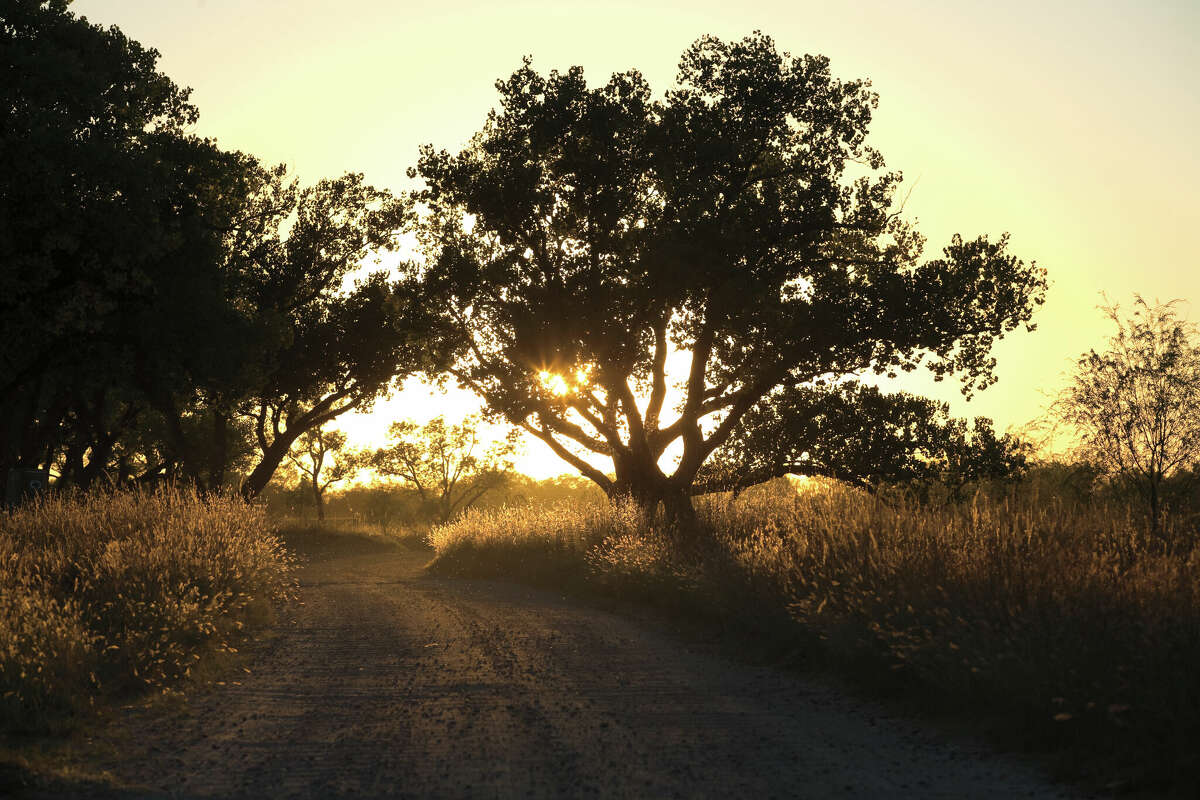 Texas oil baron's 65-acre ranch up for $170M, has links, pub, skeet range