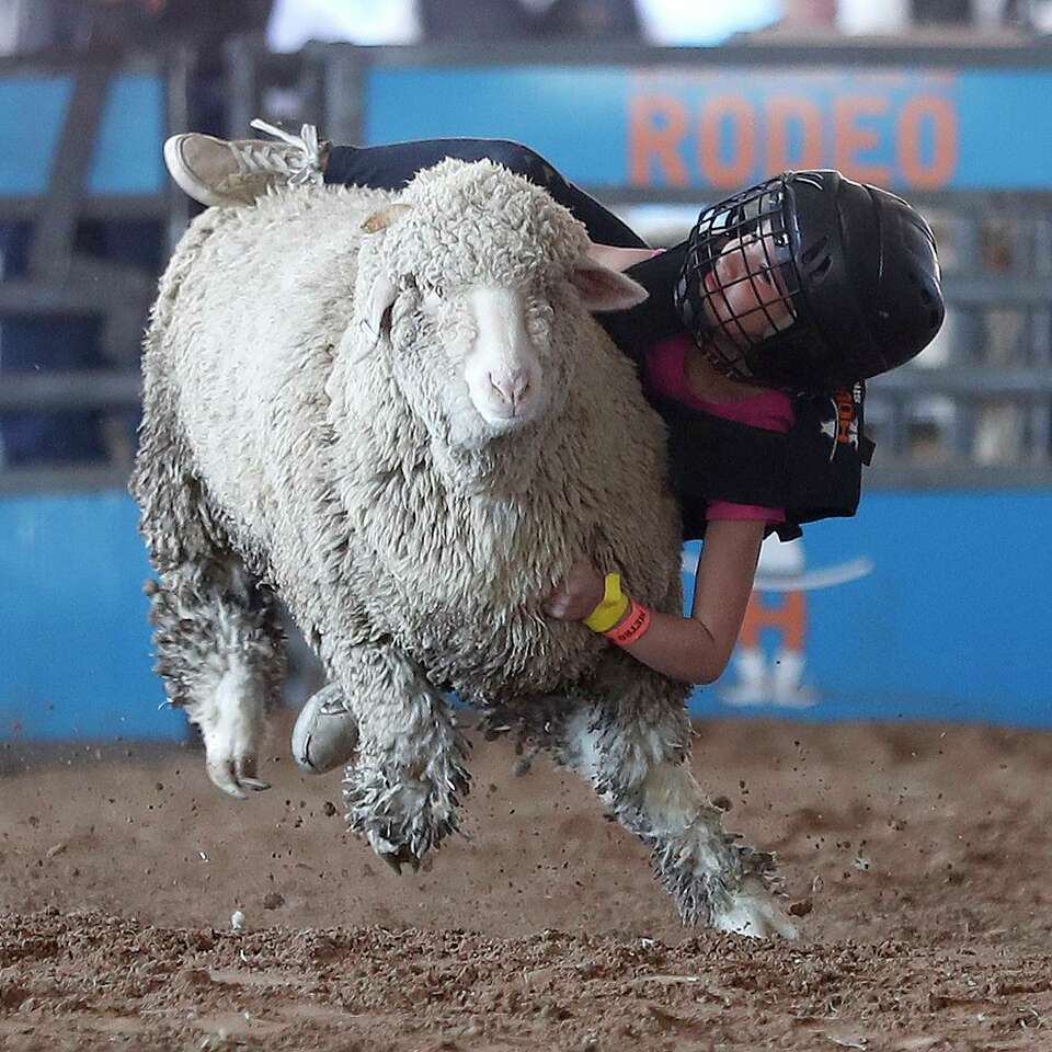 Houston Rodeo Family Favorites: Carnival, Pig Races and mutton bustin'