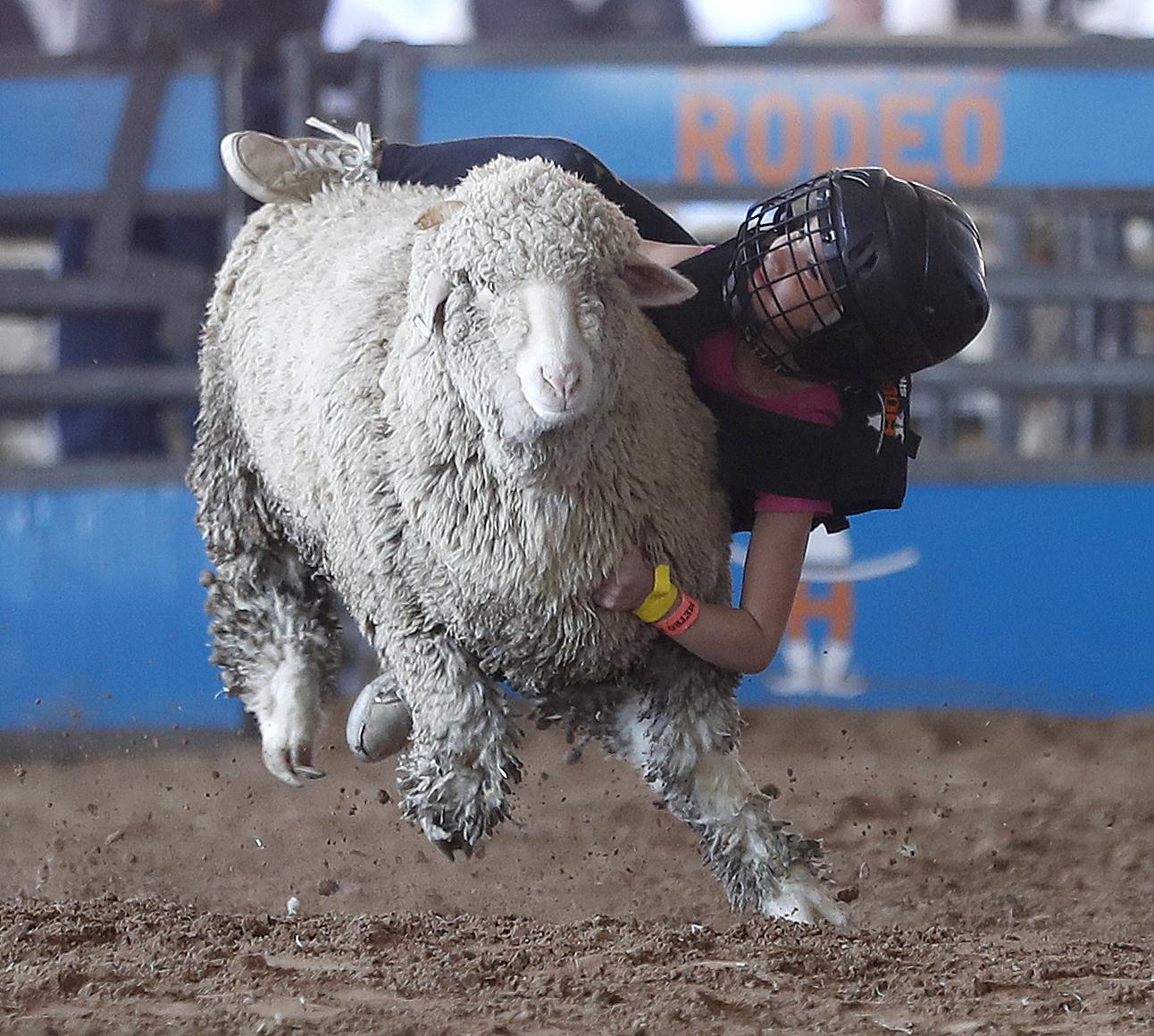 Houston Rodeo Family Favorites: Carnival, Pig Races and mutton bustin'