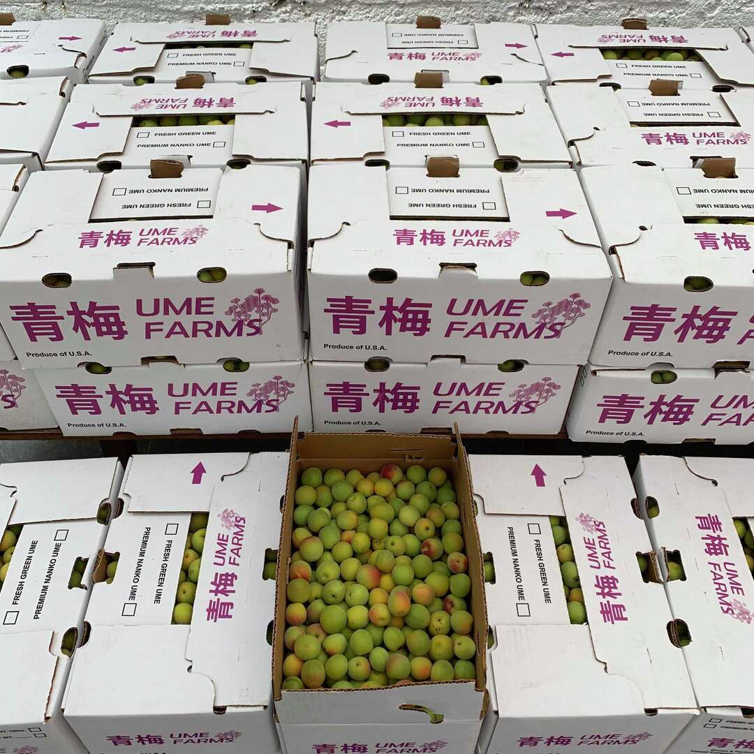 California’s delicious new drink style: alcohol with local ume, the ...