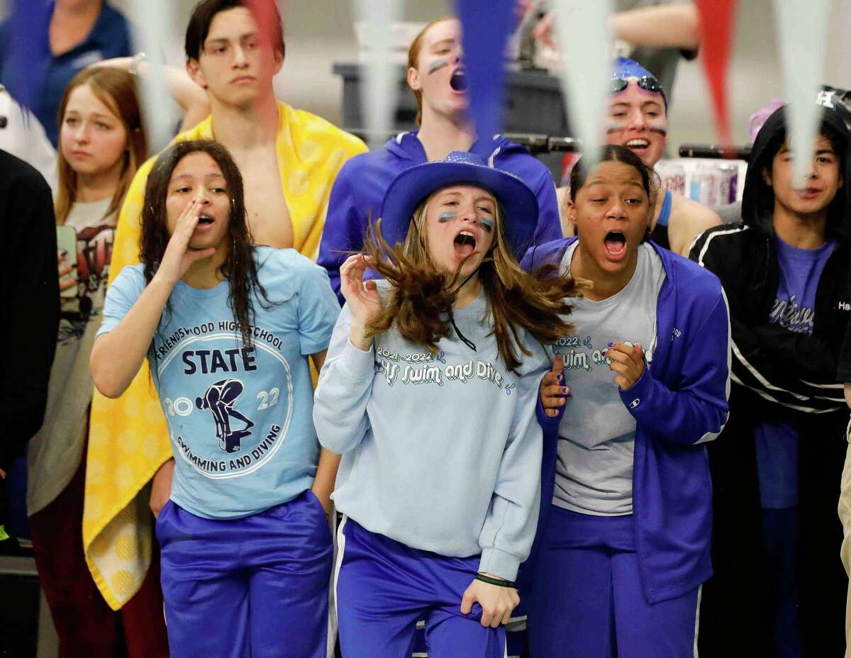 Friendswood girls take third at state swim meet