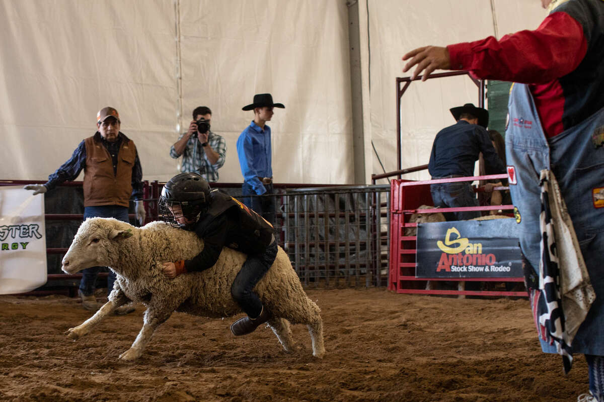 Proud parents crowd Bustin’ in the Barn event at San Antonio Stock Show ...