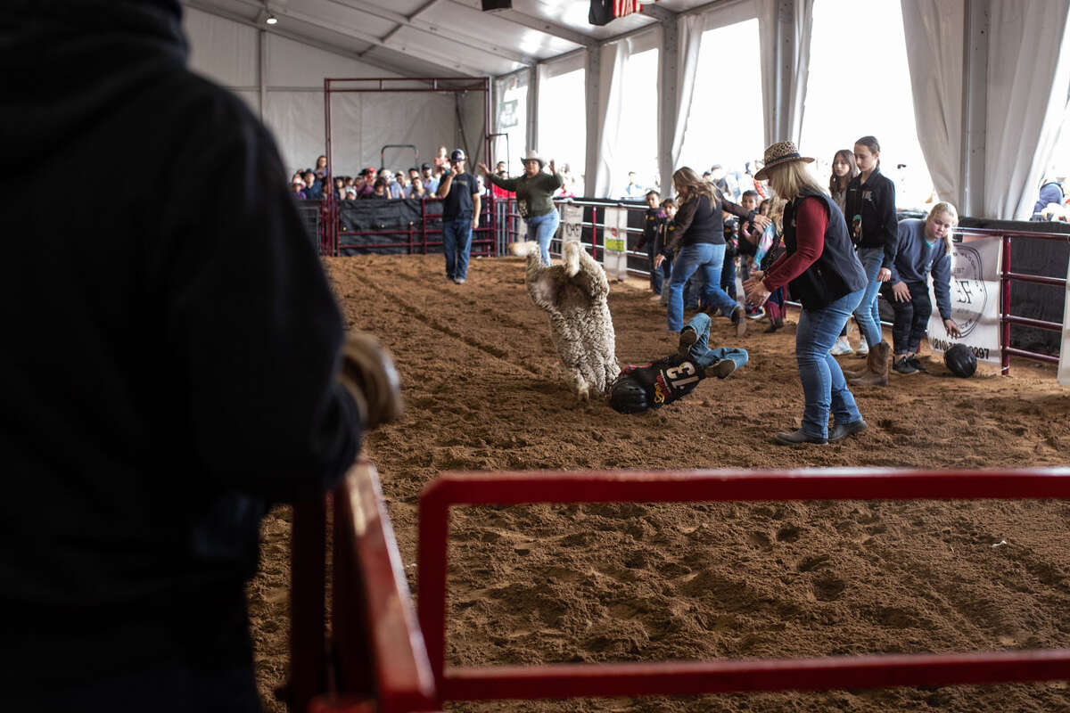 Proud parents crowd Bustin’ in the Barn event at San Antonio Stock Show ...
