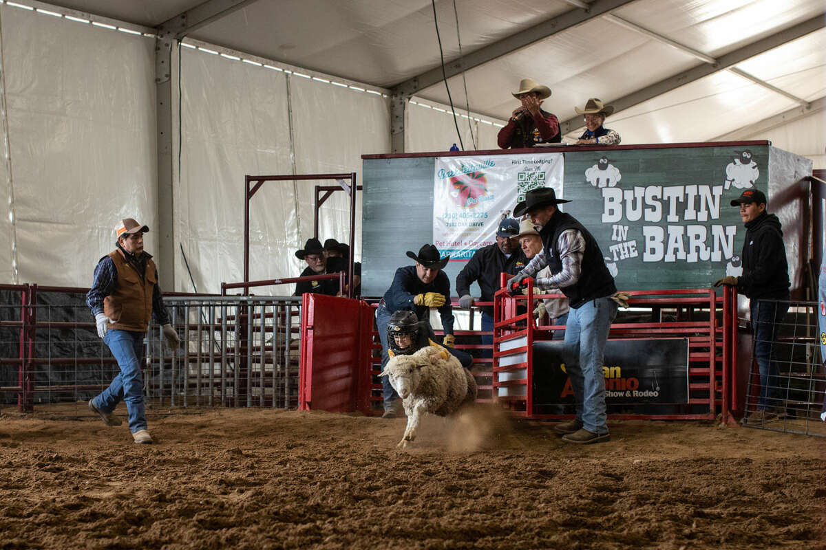 Proud parents crowd Bustin’ in the Barn event at San Antonio Stock Show ...