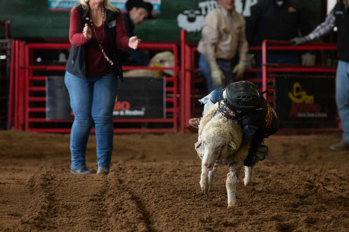 Proud parents crowd Bustin’ in the Barn event at San Antonio Stock Show ...