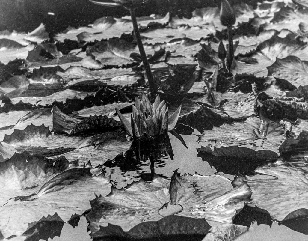 LCCC students' art selected for show