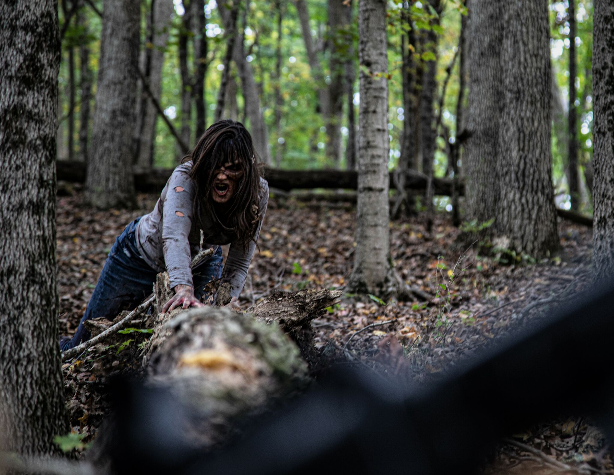 'Zombie Resurrection' reaction powerful at first screening