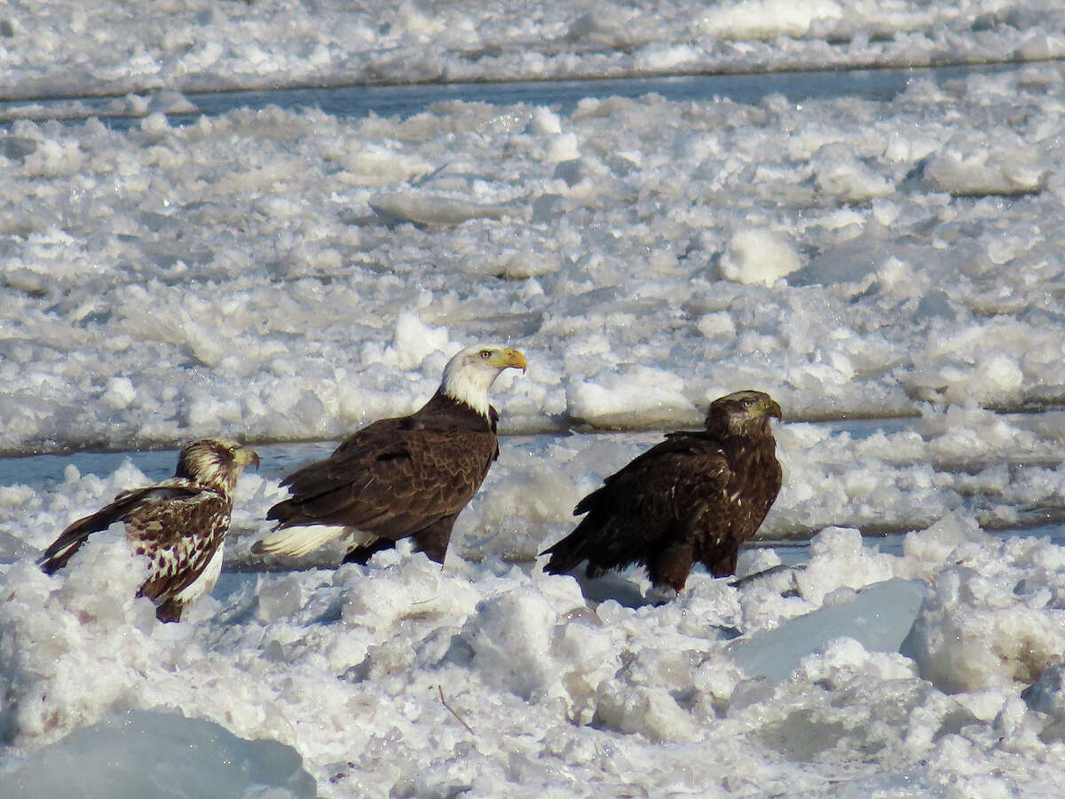 Mohawk River State Park light on fanfare, filled with outdoor joy